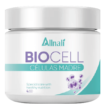 Productos - Great International Sales